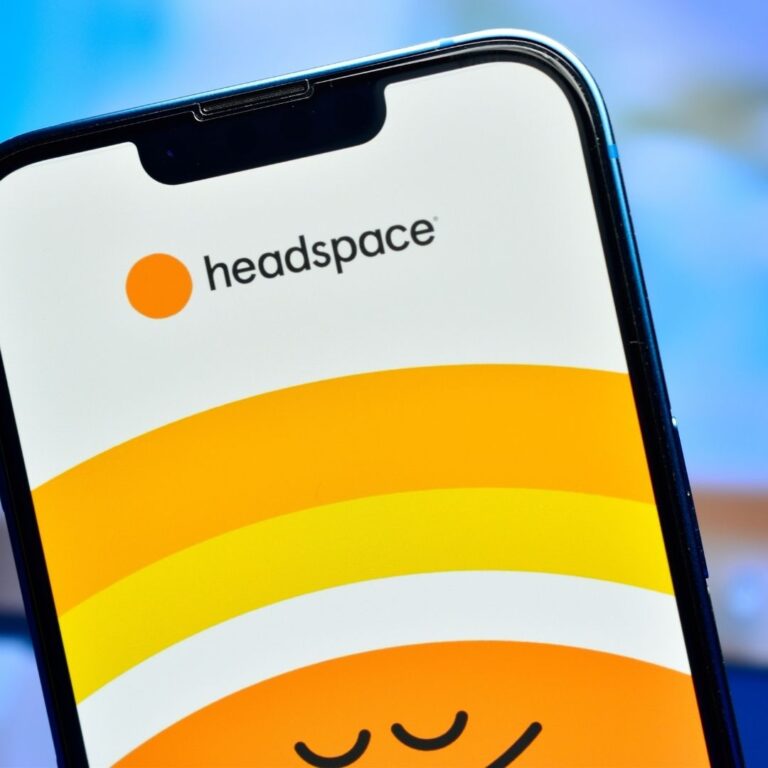 The Evolution and Net Worth of Headspace App, A Leader in Mindfulness ...